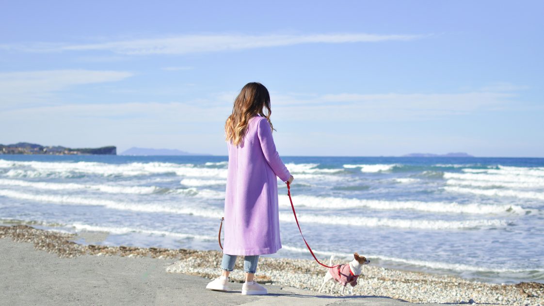 Beautiful Picture Books For Children - Boove